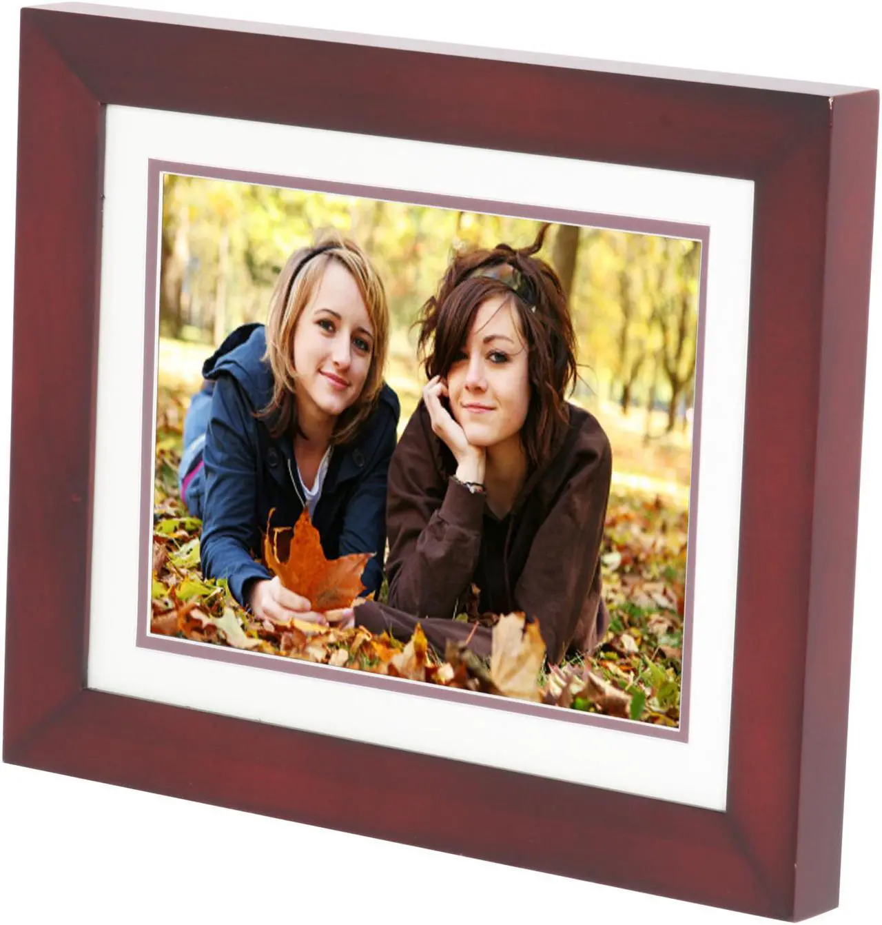 HP DF1010B3 10.4" 800 x 600 Digital Photo Frame - Newegg.com