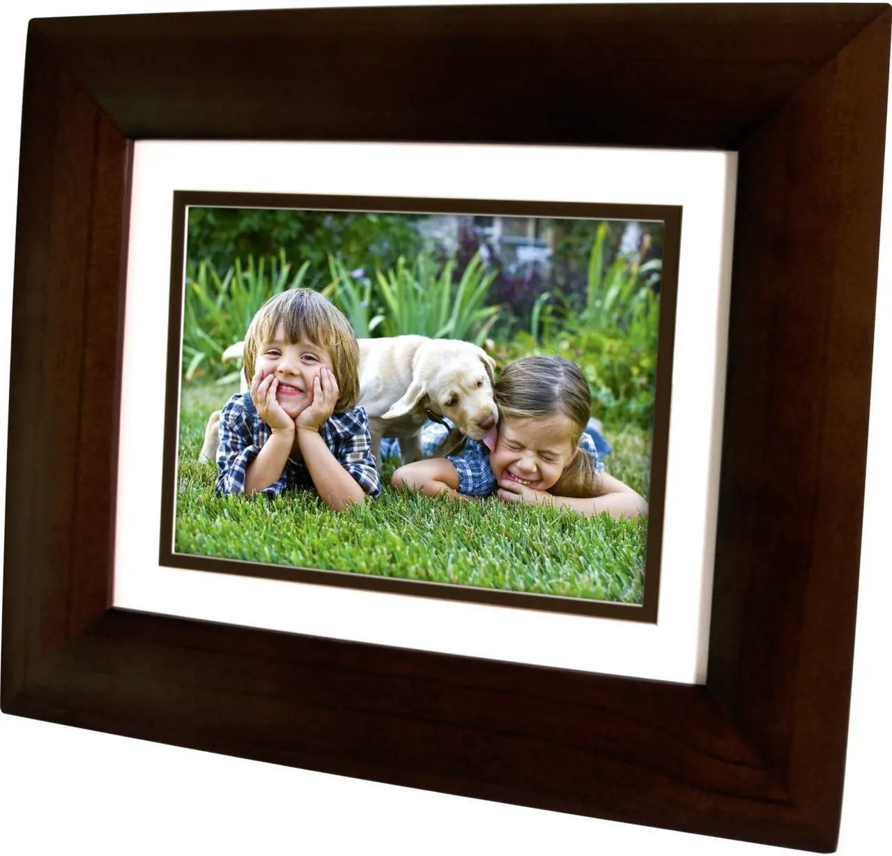 HP DF840P1 8" 800 x 600 Digital Photo Frame - Newegg.com