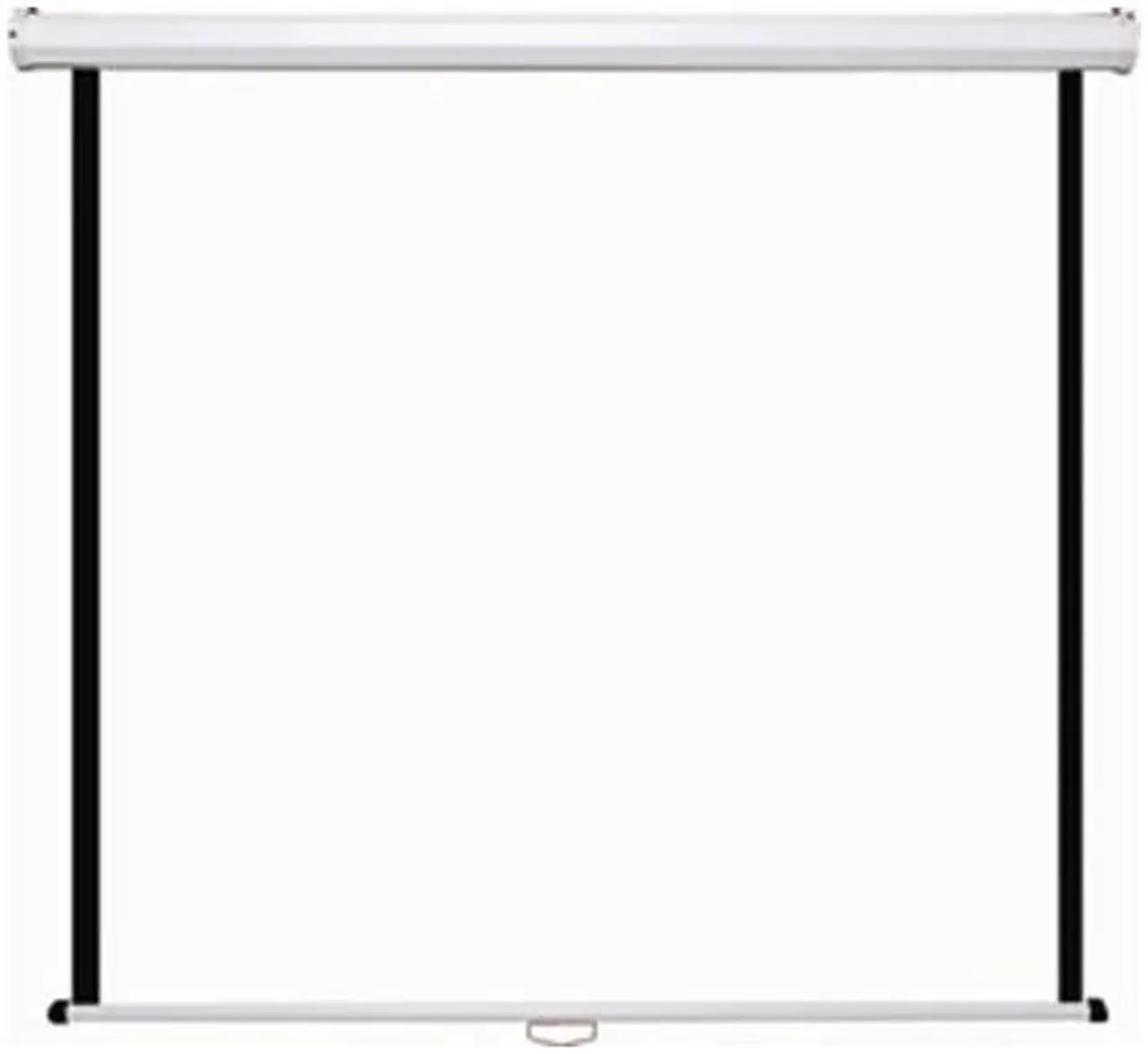 AccuScreens 800004 106" HDTV Diag. Manual Projector Screeen - Newegg.com