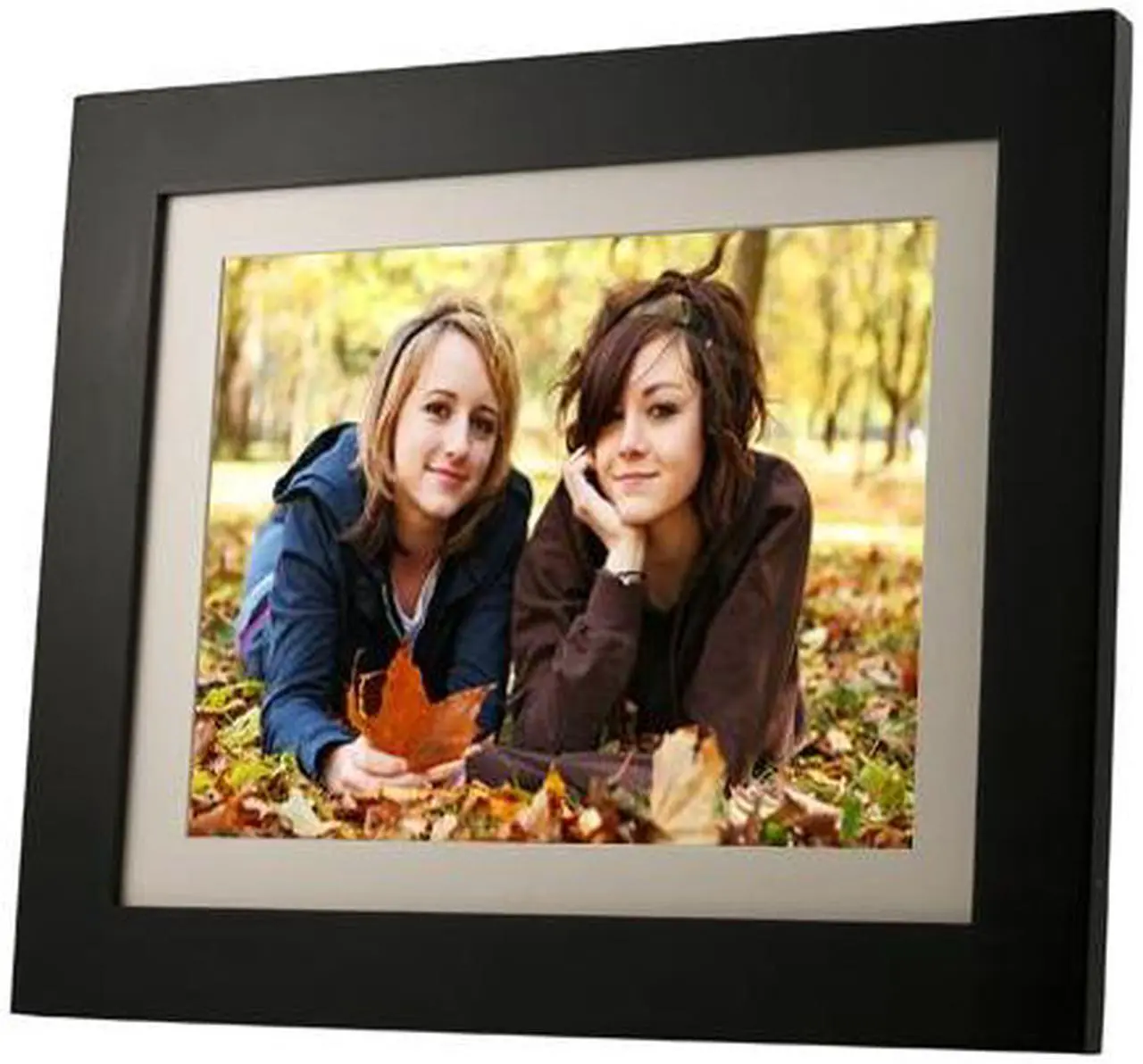 PANDIGITAL PAN8059MW01T 8" 800 x 600 Digital Photo Frame - Newegg.com