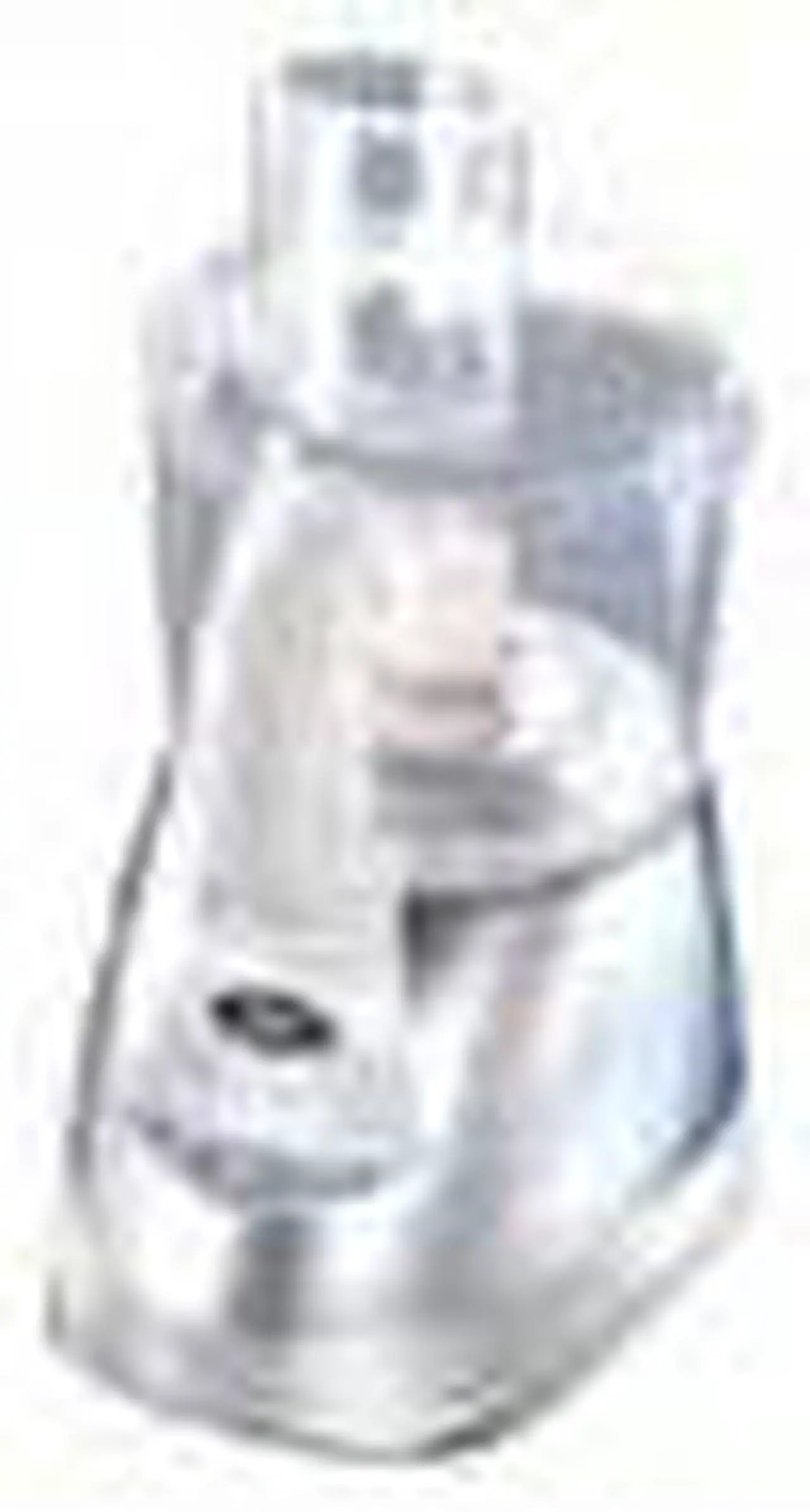 Oster 3200 10 Cup Food Processor - Newegg.com