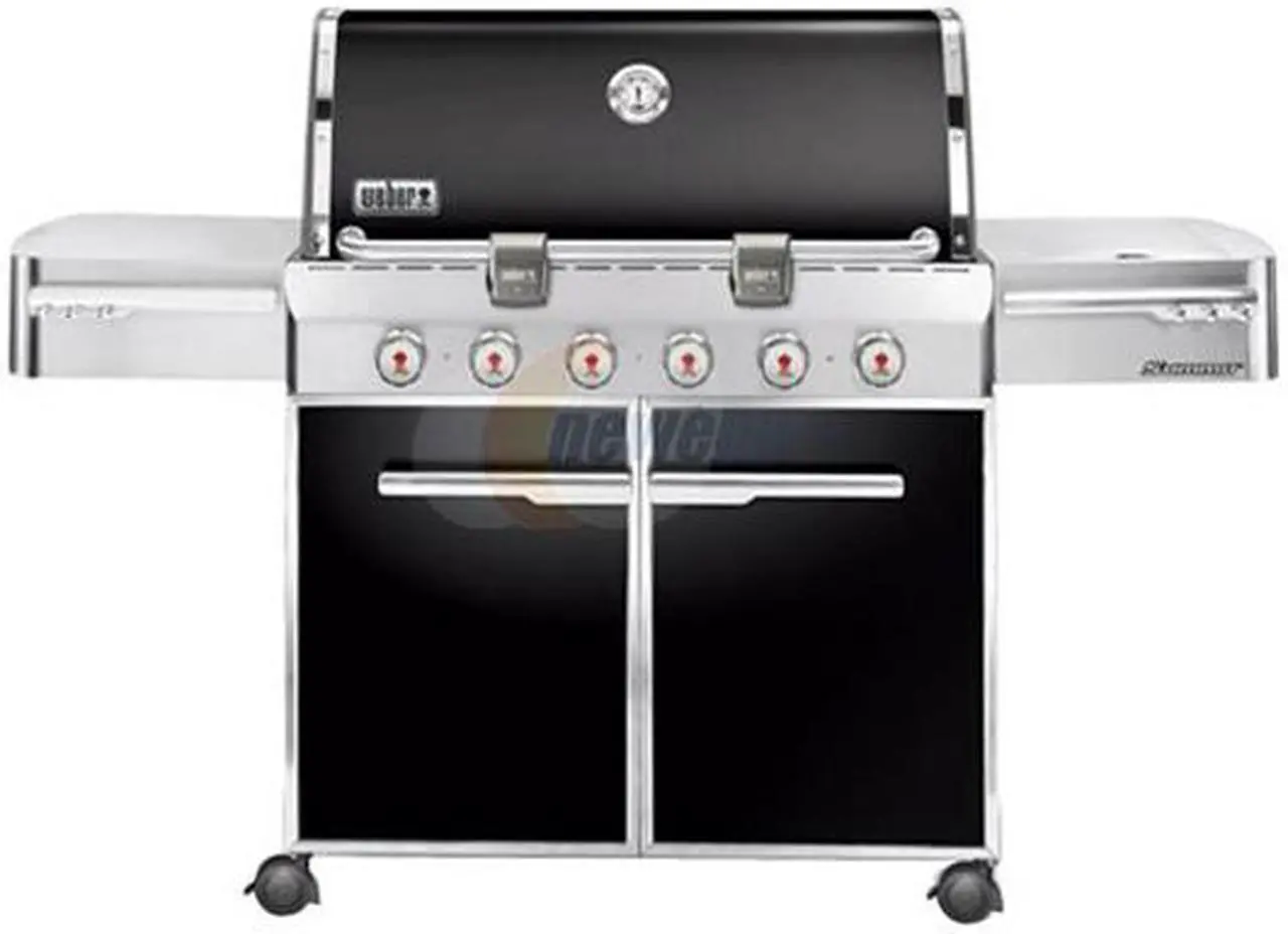 Weber 1751001 Black - Newegg.com