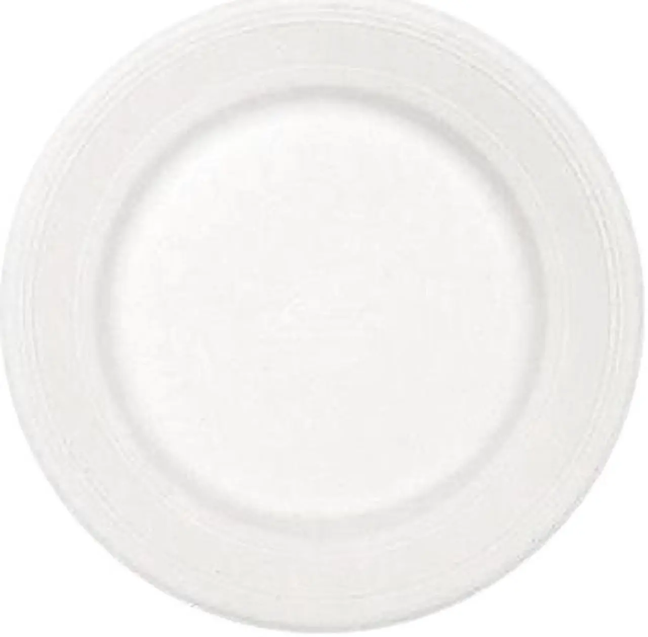 Chinet VENTURECT Classic White Plates - Newegg.com