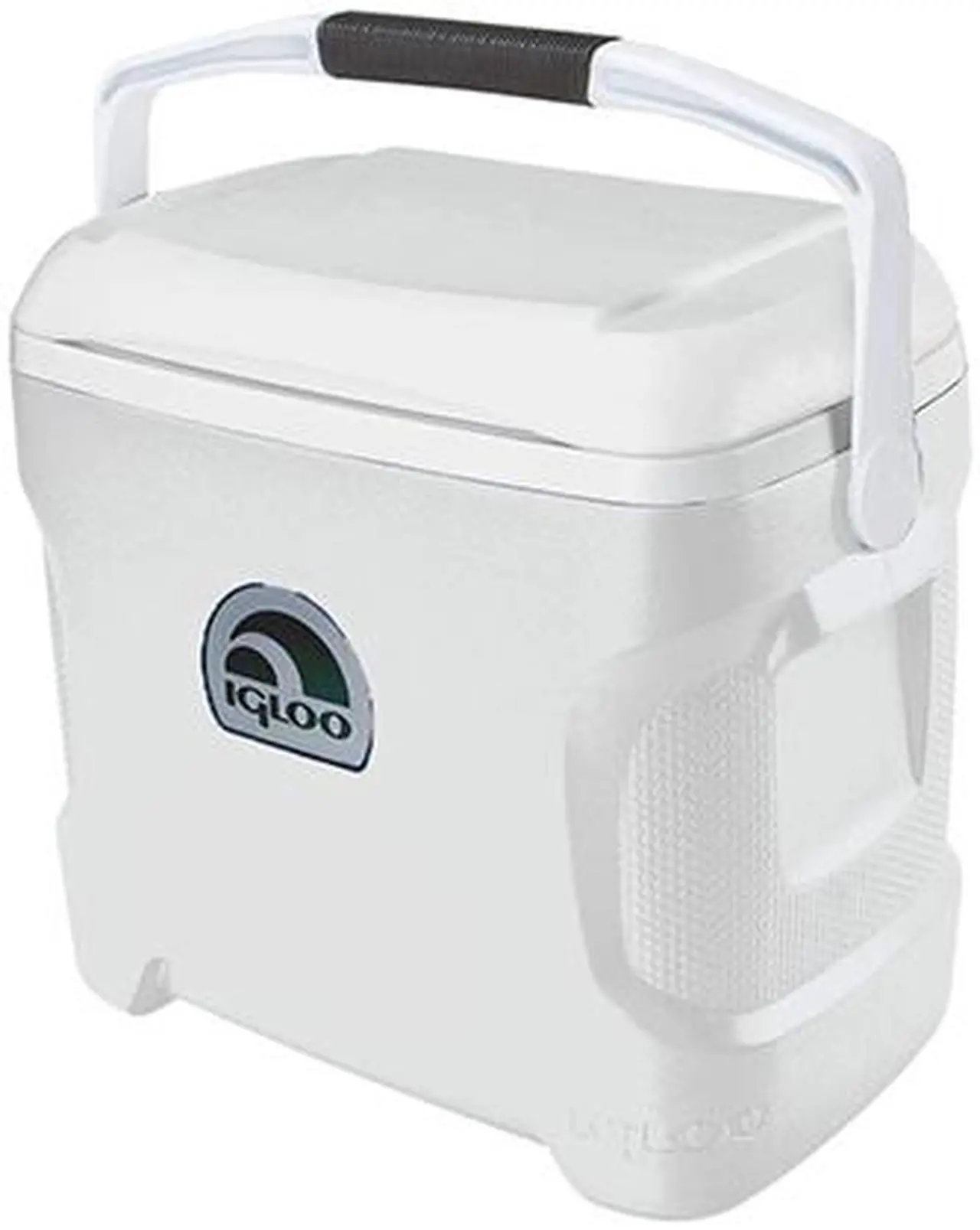 Igloo 24 Quart Ice Chest 00050536 - Newegg.com