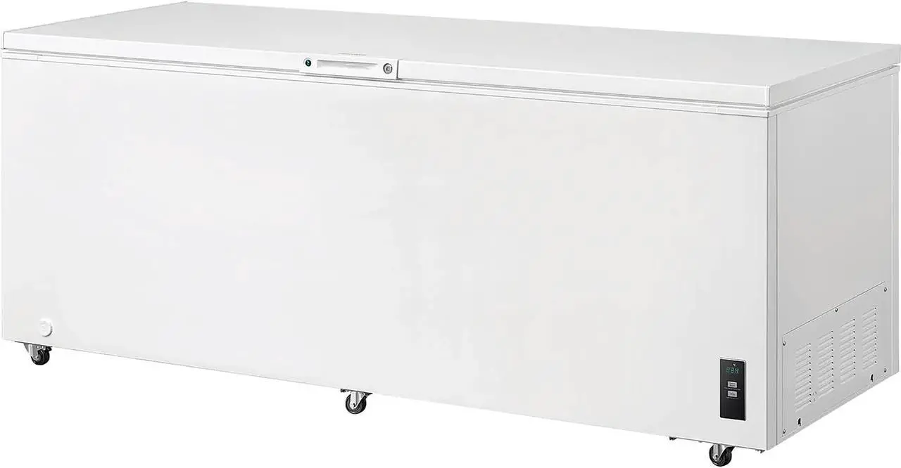Frigidaire 24.8 Cu. Ft. Chest Freezer White FFCL2542AW - Newegg.com