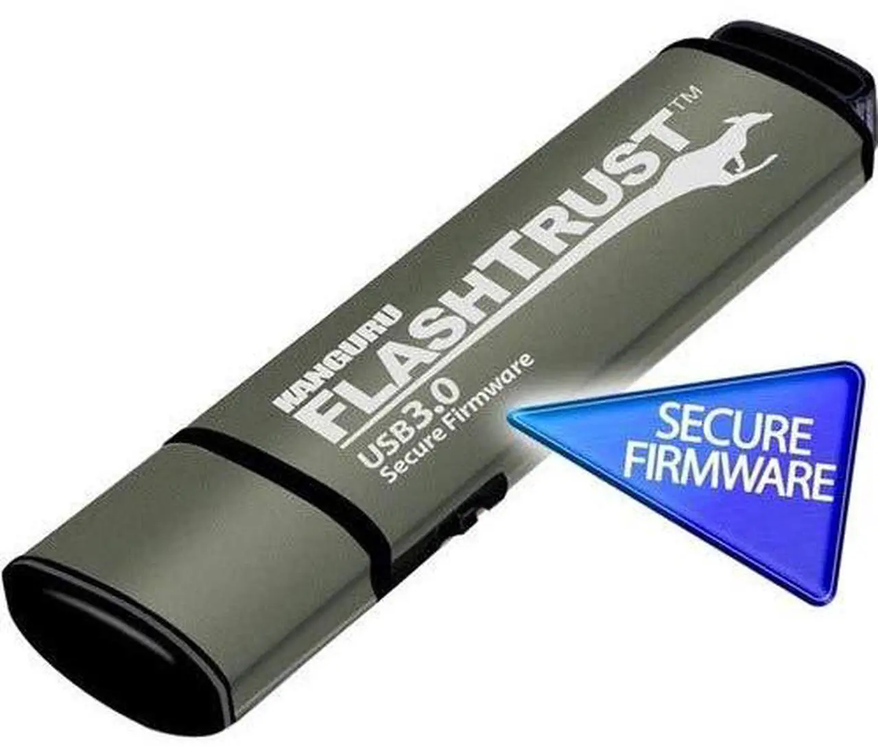 Kanguru FlashTrust Secure Firmware 256GB USB 3.0 Flash Drive - Newegg.com