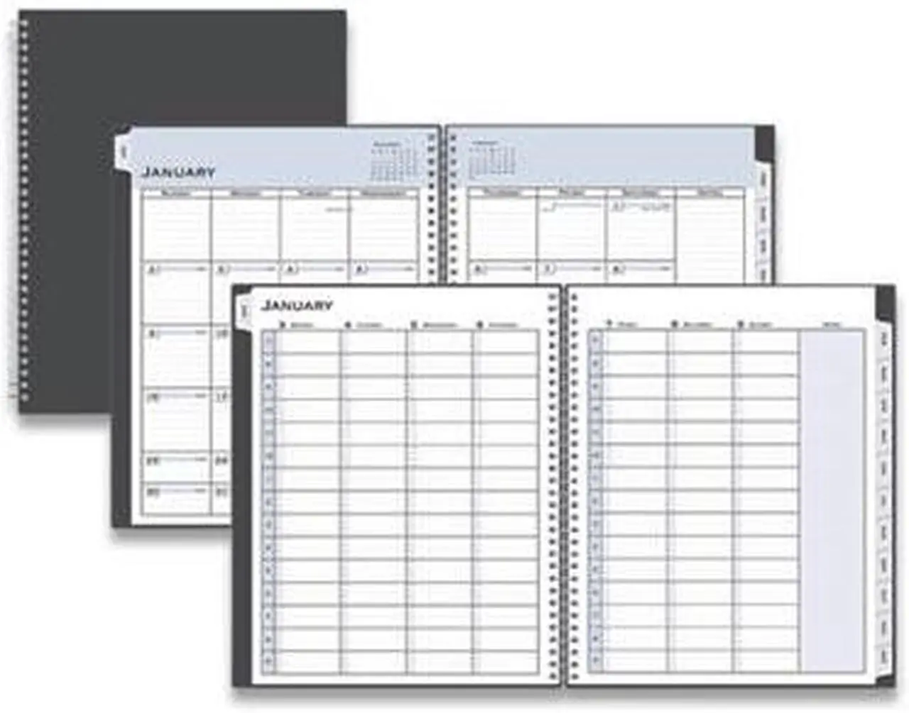 2025 Blue Sky Weekly/Monthly Appointment Book Planning Calendar, 8-1/2 ...