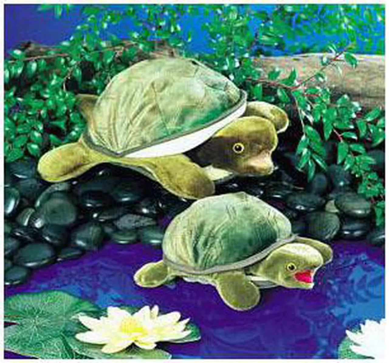 Folkmanis Puppets BABY TURTLE Plush Hand Puppet - Newegg.com