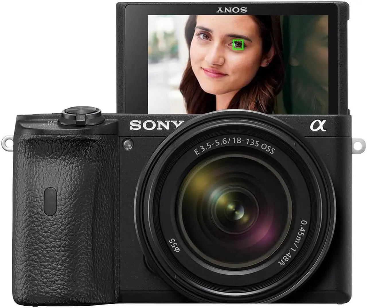Sony Alpha a6600 Mirrorless Digital Camera with 18-135mm Lens With ...