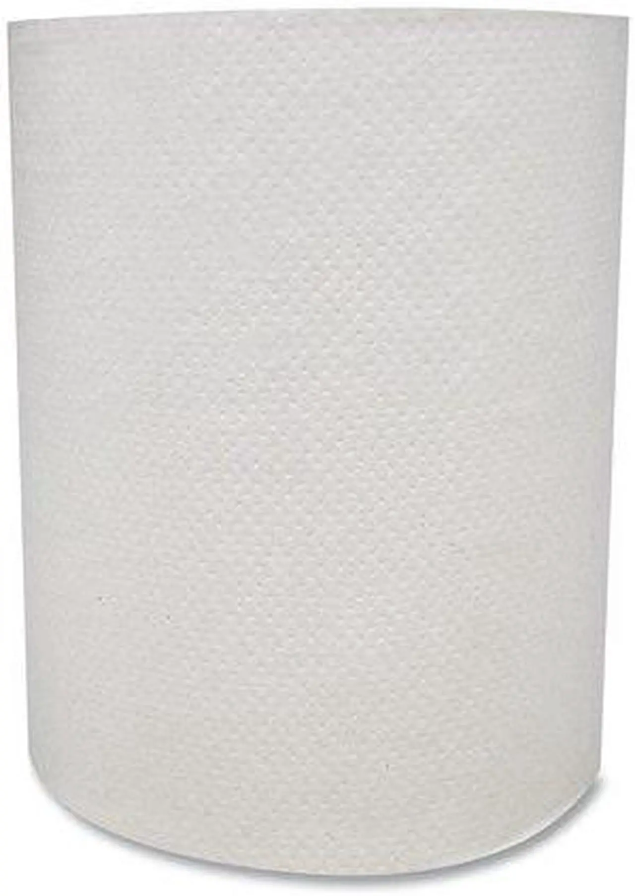 Morcon Paper MOR W12600 Morcon Mor-Soft Hardwound Roll Towel, Length ...