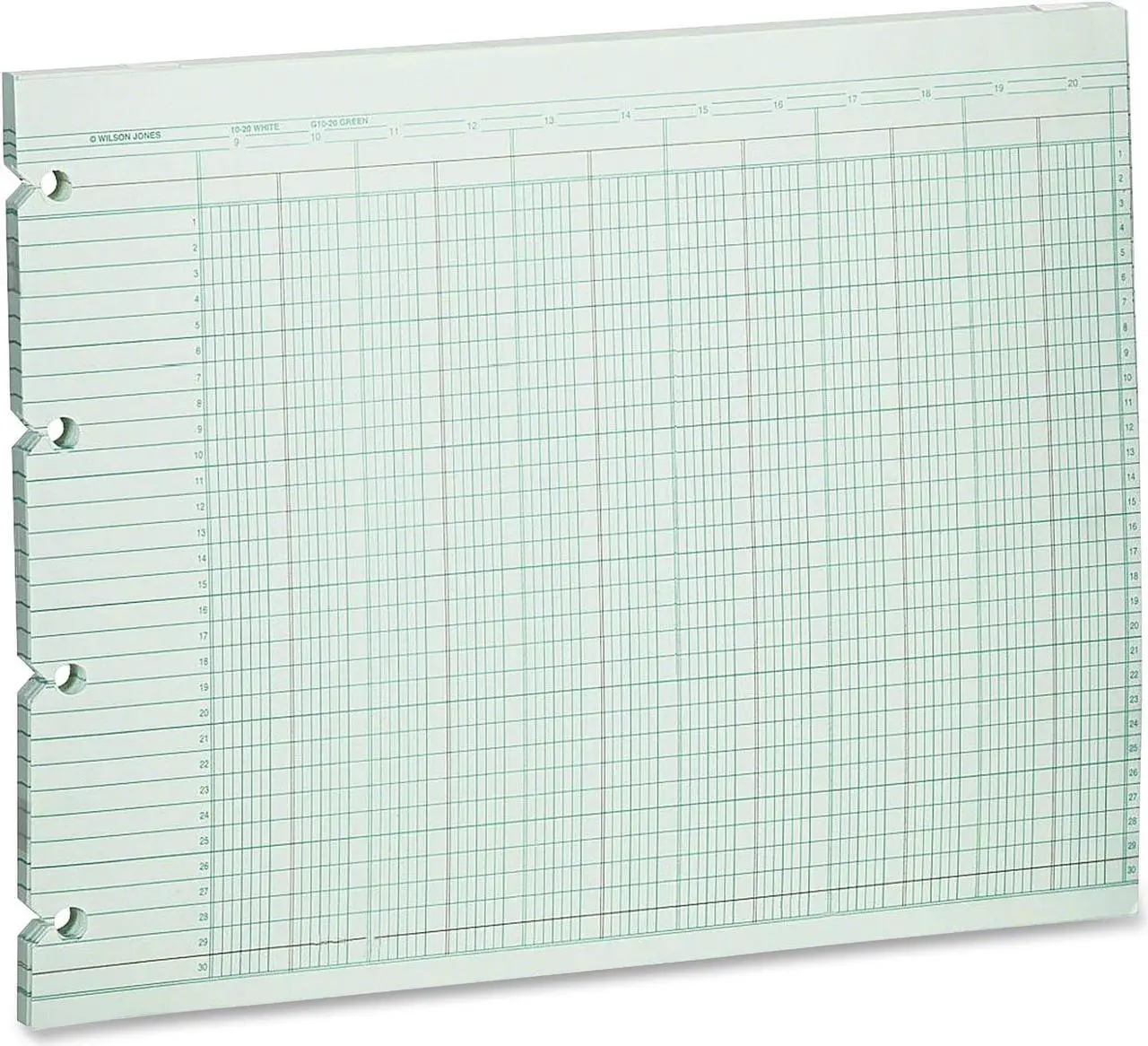 Acco/Wilson Jones 20-column Prepunch Ledger Paper - Newegg.com