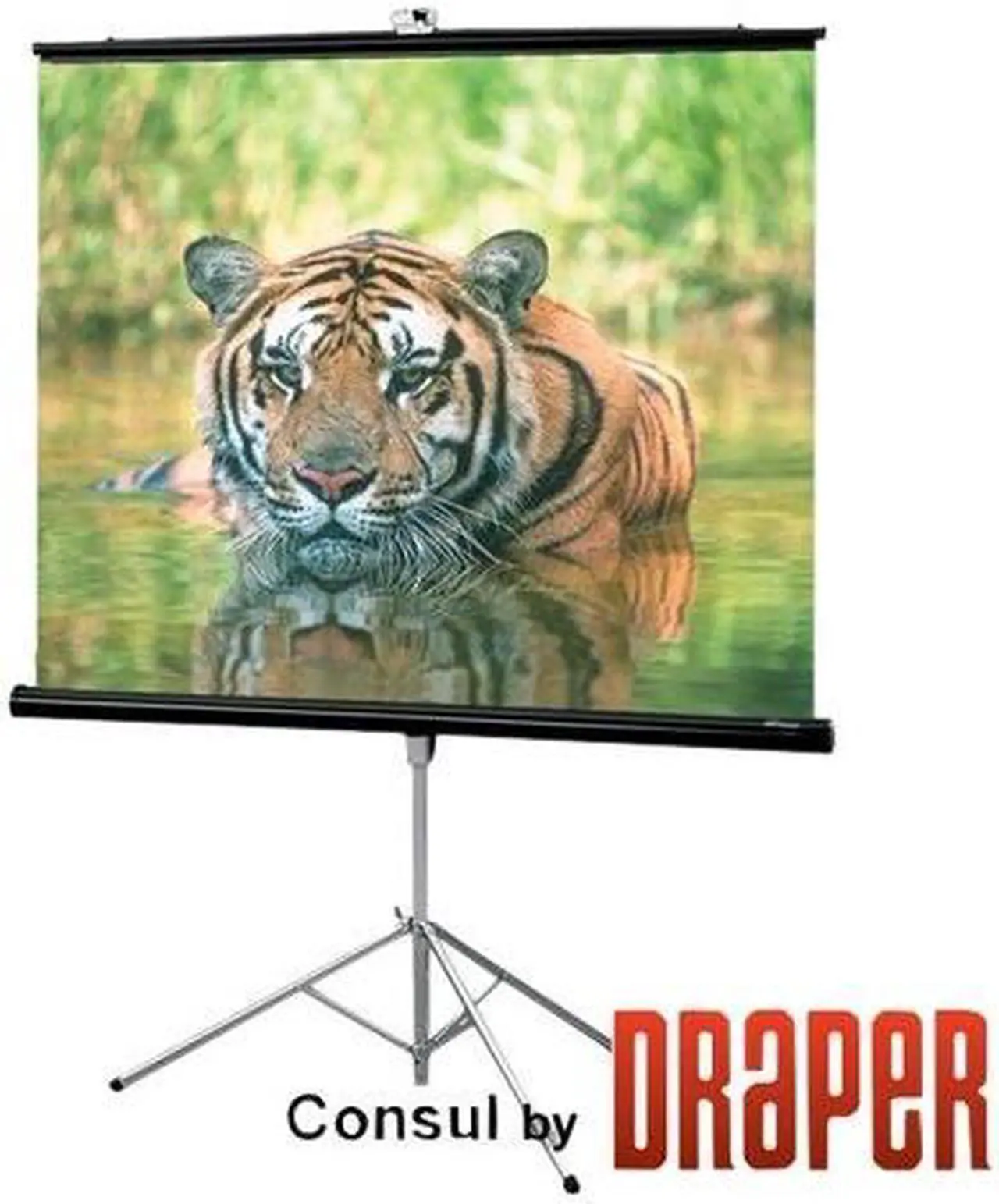 Draper Consul Projection Screen - 99" - 1:1 - Surface Mount - Newegg.com
