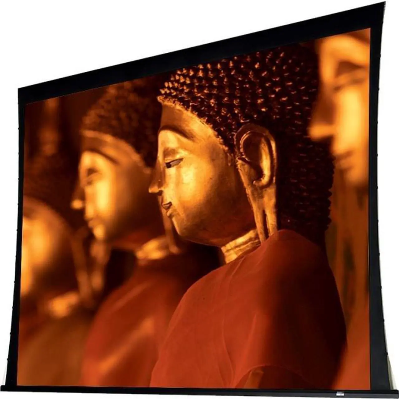 Draper Ultimate Access/Series V Electric Projection Screen - Newegg.com