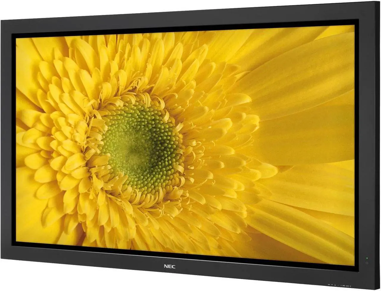 NEC Professional 42" 720p Plasma Display P42XP10-BK - Newegg.com