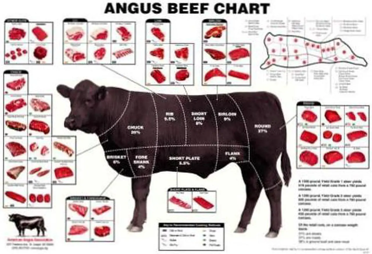 Angus Beef Chart Meat Cuts Diagram Poster 24x36 - Newegg.com