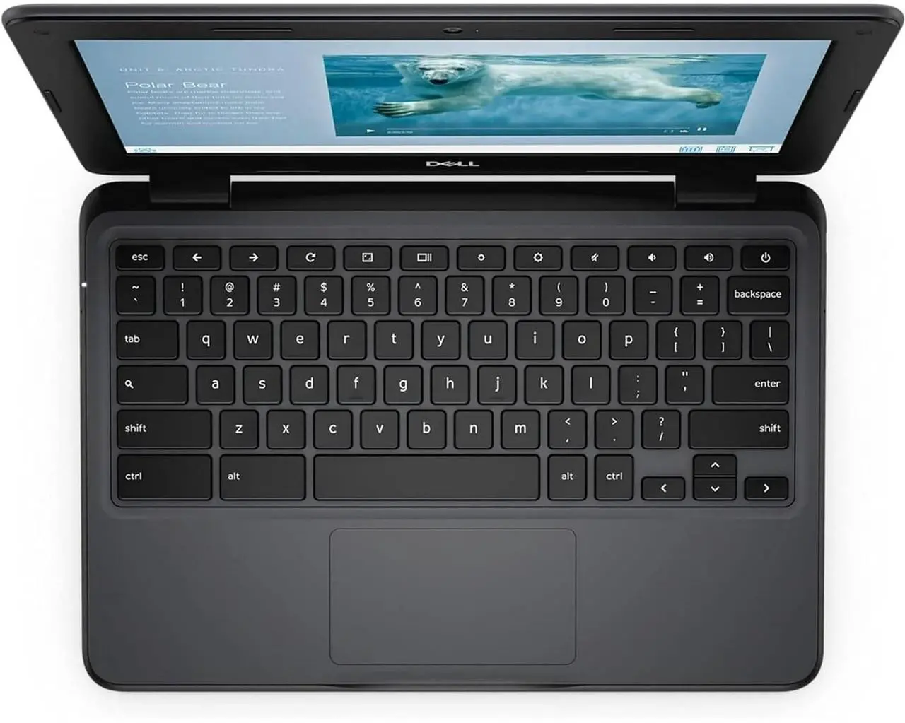 Used - Good: Dell Chromebook 11 3100 2-in-1 11.6" Touch Laptop, Celeron ...