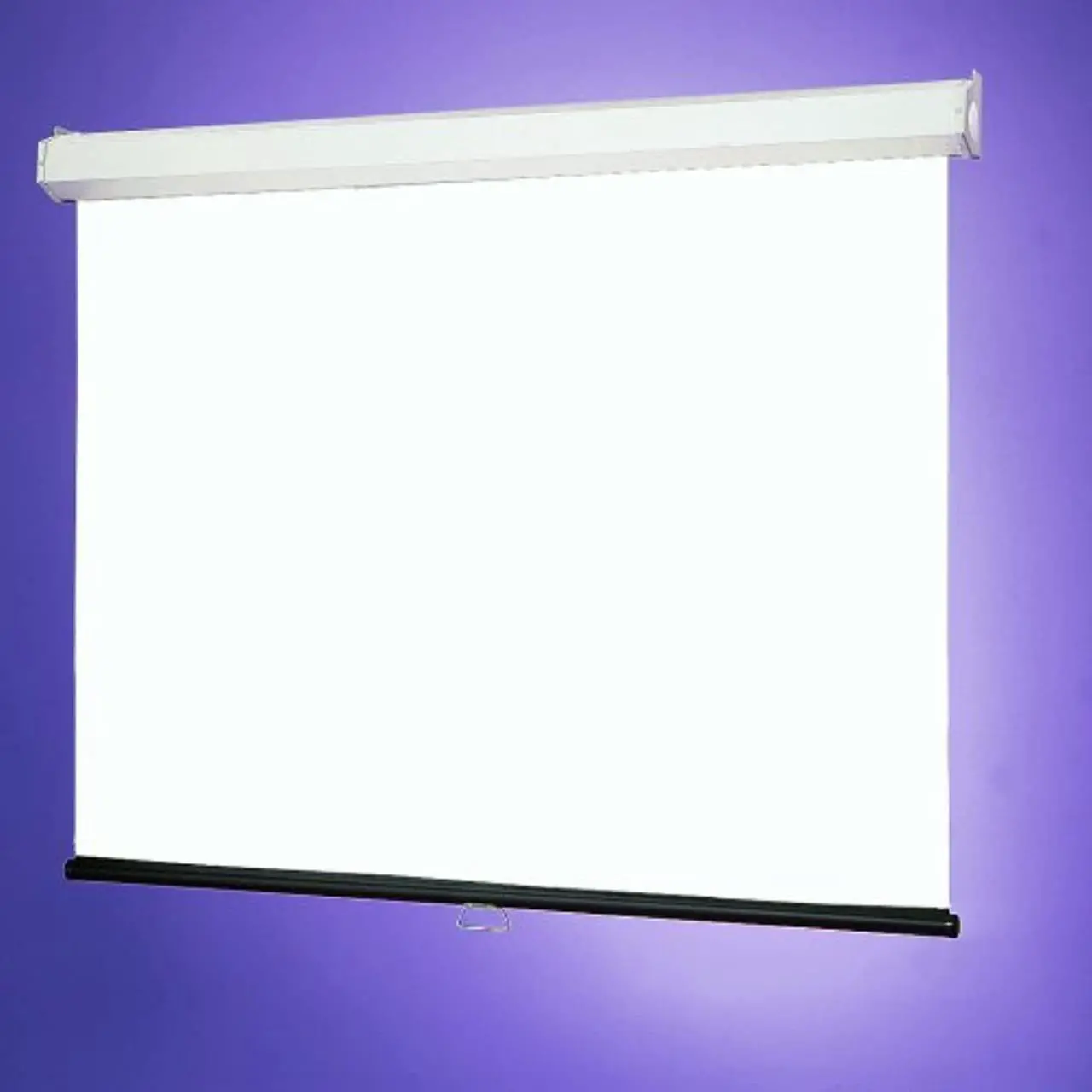 Draper Luma 2 Manual Wall and Ceiling Projection Screen - Newegg.com