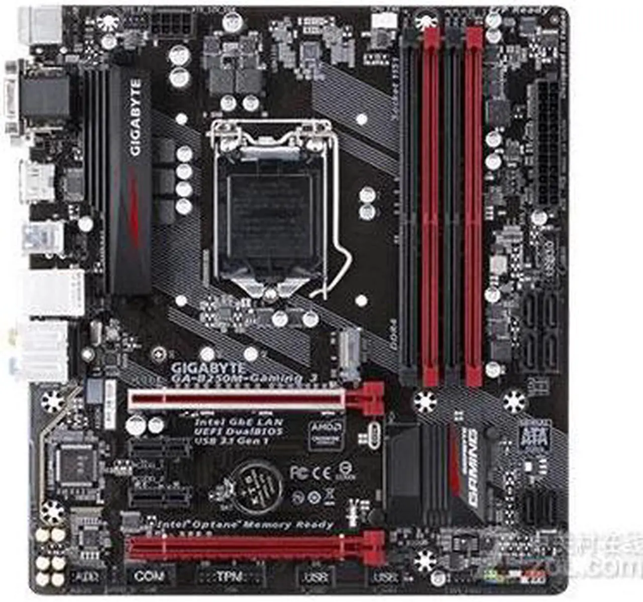 Refurbished: GIGABYTE B250M-Gaming 3 LGA 1151 Intel B250 DDR4 64GB ...