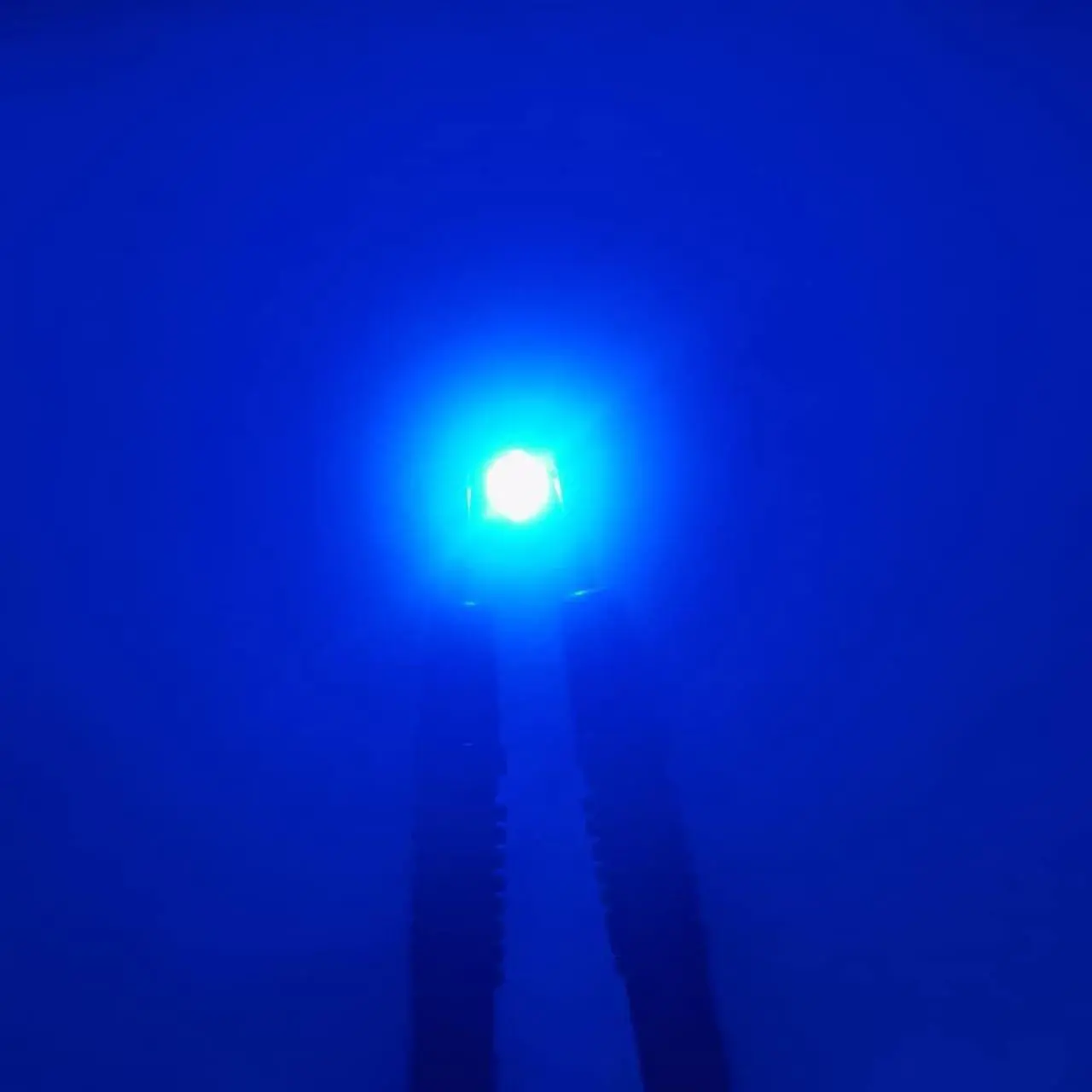 50 pcs High Power Led Chip 3W Royal Blue Plant Grow Light (440nm-450nm ...