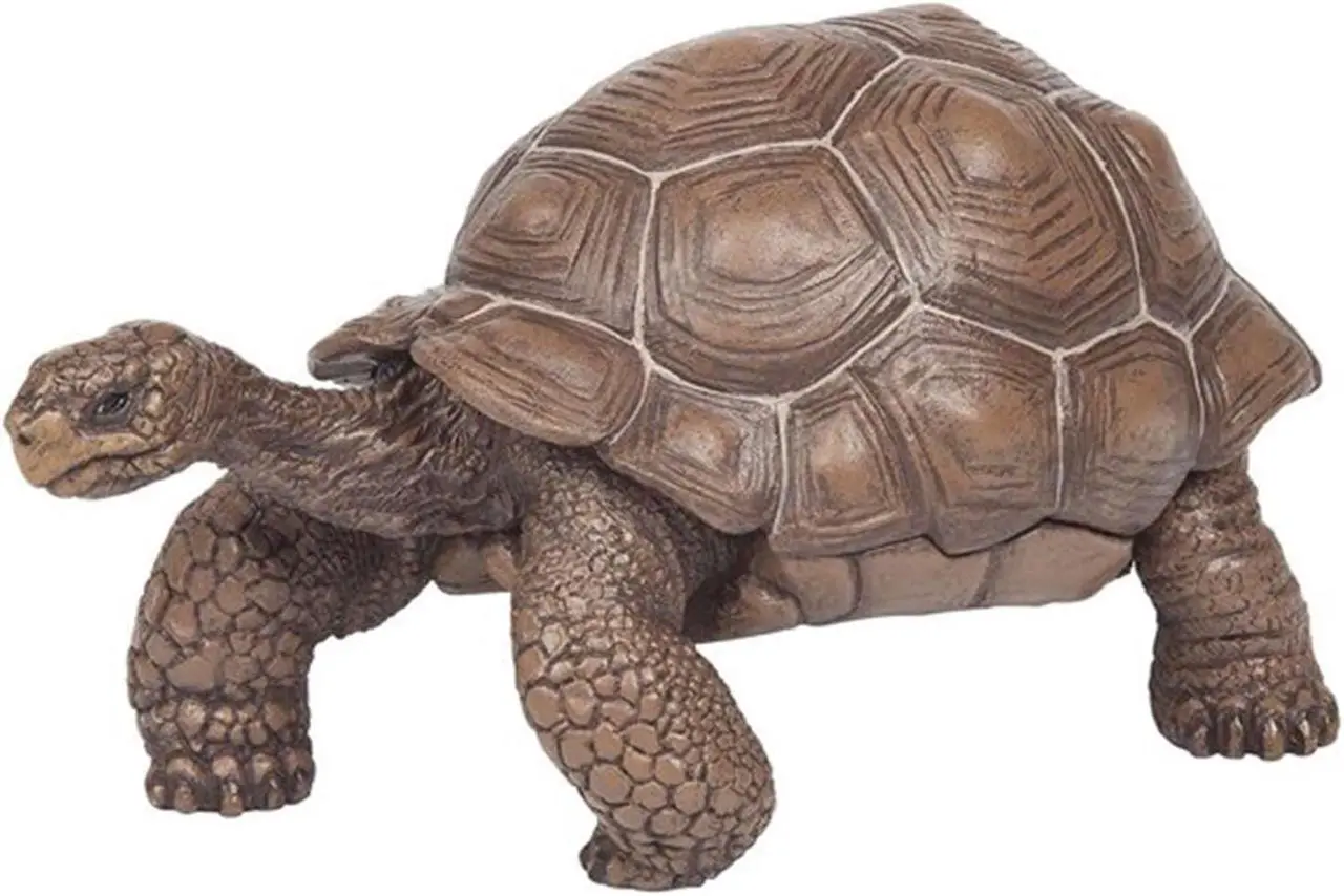 Papo Galapagos Tortoise Animal Figure 50161 - Newegg.com