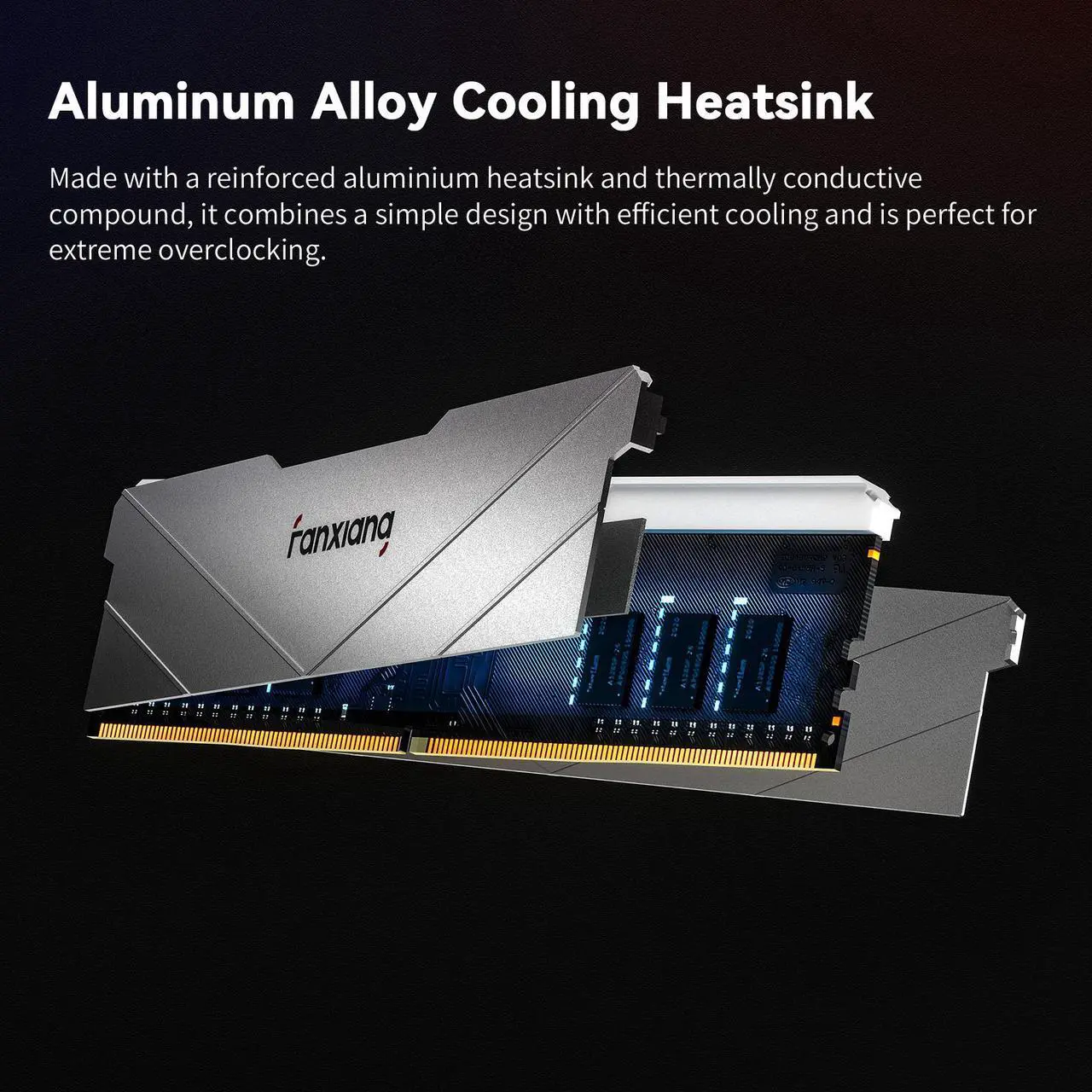 Fanxiang 32GB (2 x16GB ) 288-Pin PC RAM DDR4 3600 (PC4 28800) for Intel ...