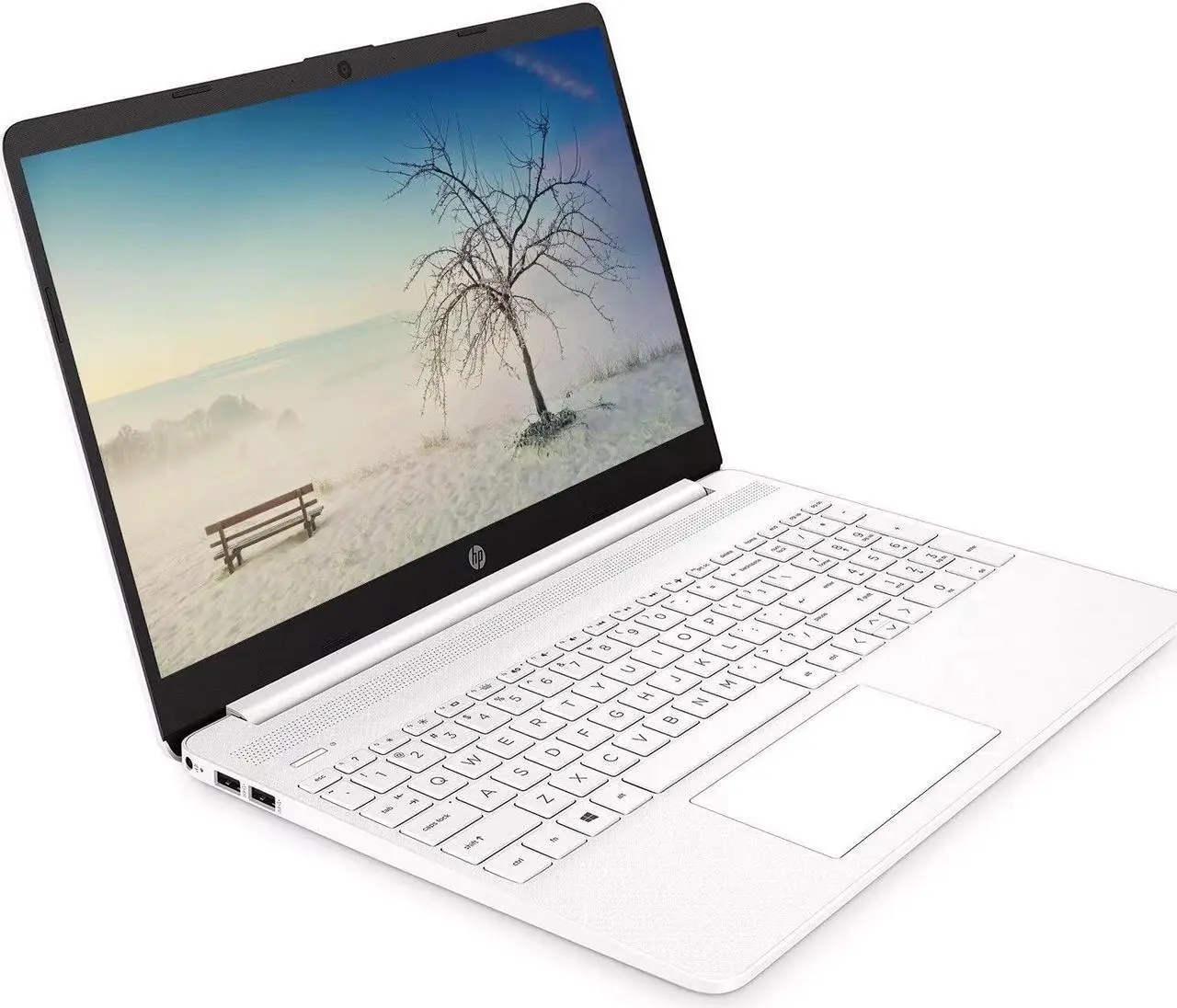 HP 15.6 h HD (1366 x 768) Micro-Edge WLED Laptop puter, AMD Athlon Gold ...