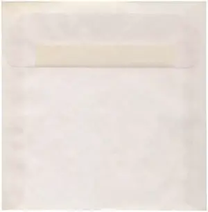 Office Envelopes | Newegg