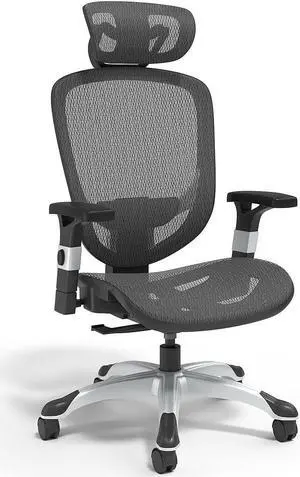 990119 Mesh Computer and Desk Task Chair Black Newegg