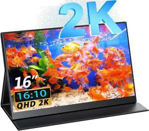 2560 x 1600 (2K) LCD / LED Monitor | Newegg.com