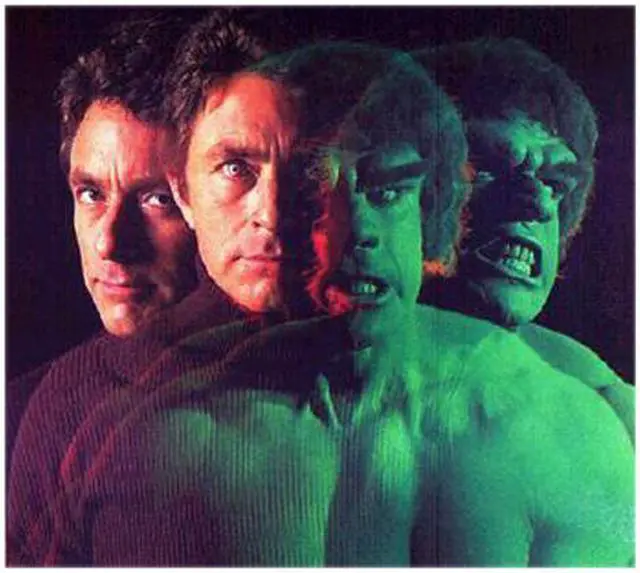 The Incredible Hulk - The Complete First Season (1978 / DVD) - Newegg.com