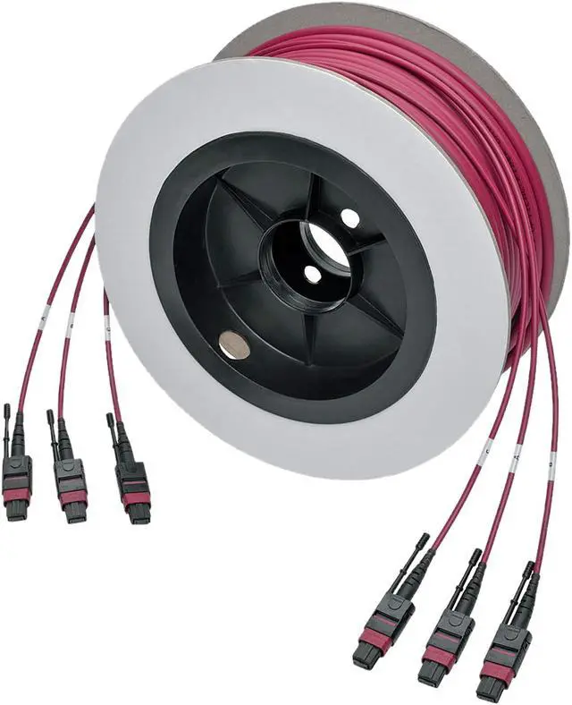 Tripp Lite MTP/MPO Multimode Base-8 Trunk Cable, 24-Strand, 40/100 GbE ...