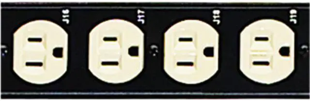 Pulizzi ePDU TPC12 12-Outlets 2.88kW PDU - Newegg.com