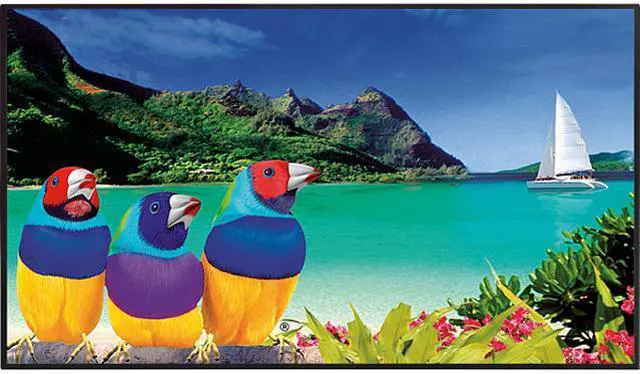 ViewSonic CDE4302 43" Full HD Direct-Lit Commercial LED Display for ...