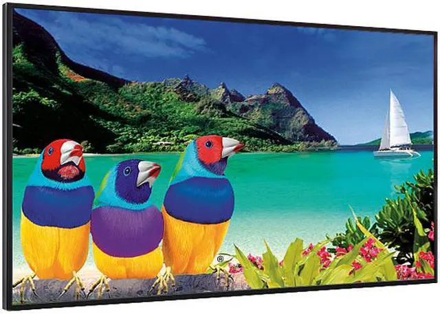 ViewSonic CDE4302 43" Full HD Direct-Lit Commercial LED Display for ...