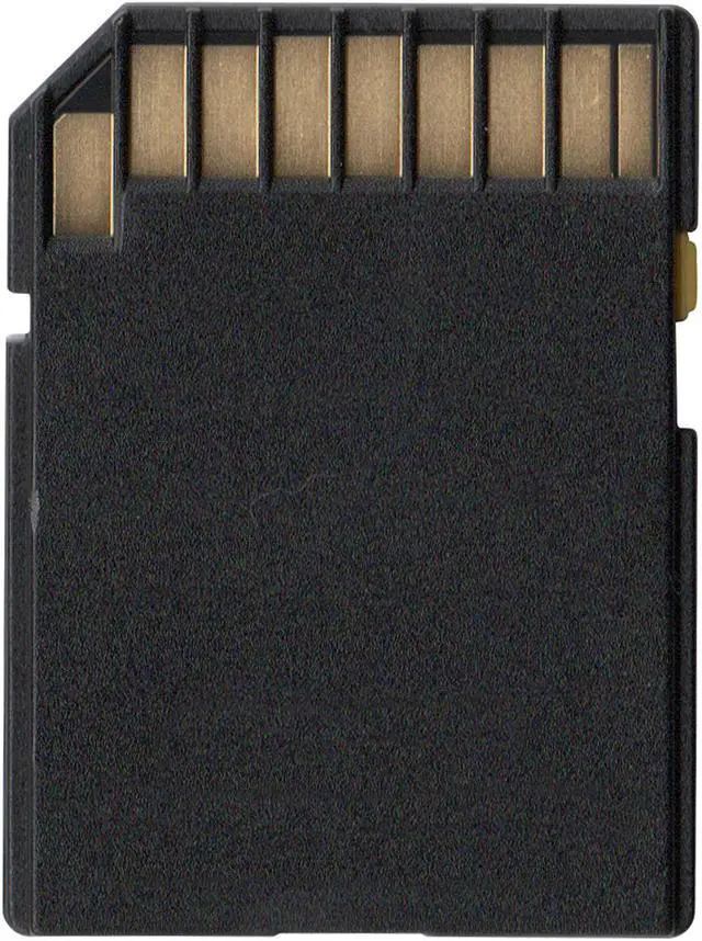 Link Depot 16GB Secure Digital High-Capacity (SDHC) Memory (Flash ...