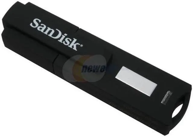 SanDisk Cruzer Enterprise 2GB Flash Drive (USB2.0 Portable) 256bit AES ...