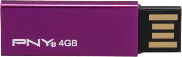 PNY Clip-On Attaché 4GB USB 2.0 Flash Drive (Purple) - Newegg.com