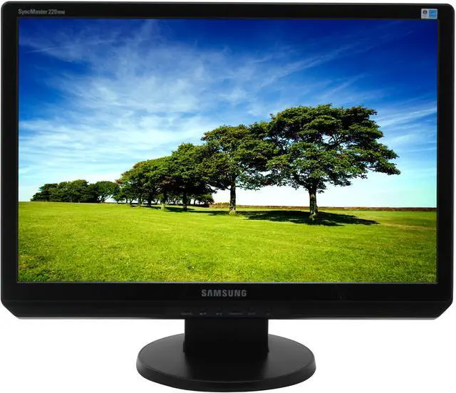 SAMSUNG 22" LCD Monitor 5 ms D-Sub, DVI-D 220WM - Newegg.com