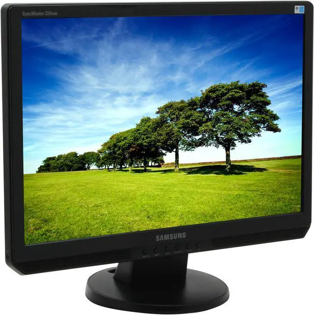 SAMSUNG 22" LCD Monitor 5 ms D-Sub, DVI-D 220WM - Newegg.com