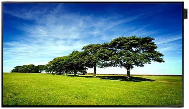 Samsung DM55D 55" DM-D Series Slim Direct-Lit LED SMART Signage Display ...