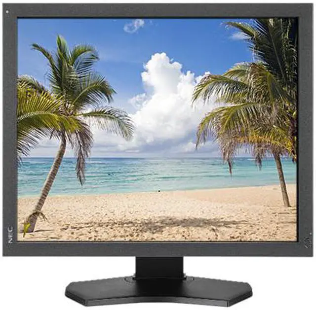 NEC Display Solutions 21.3" LCD Monitor 18 ms DVI MD215MG - Newegg.com