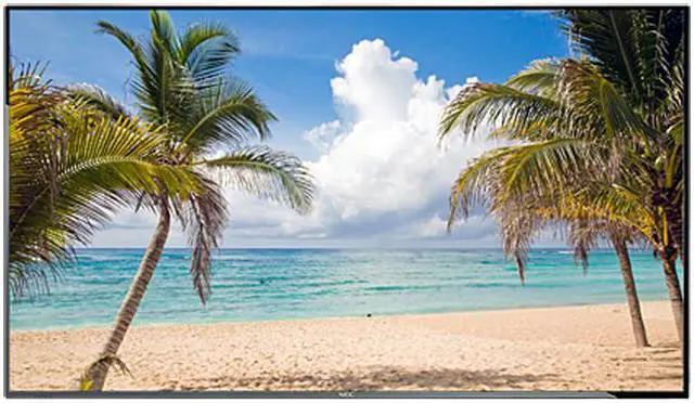 NEC E325 32" LED Backlit Commercial-Grade Digital Signage Display with ...