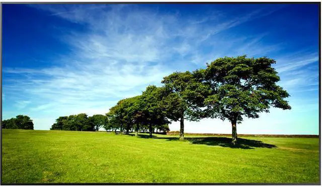 Samsung QB65R-N 65" Edge-Lit 4K Ultra HD Commercial LCD Display (Cisco ...