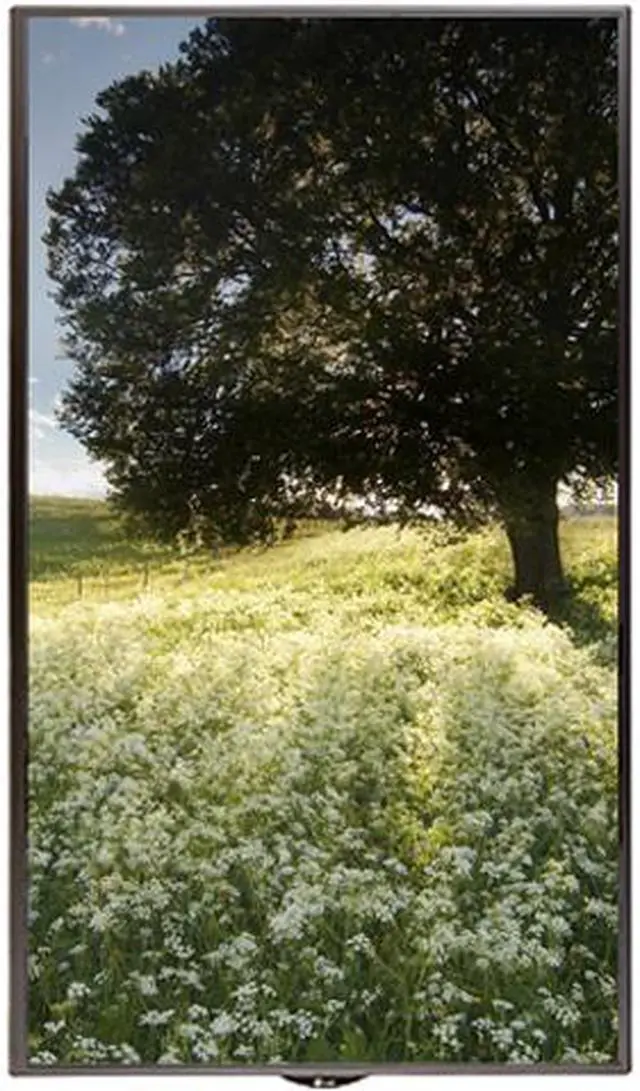 LG 43SE3B 43" Edge-Lit LED Full HD Commercial IPS Digital Signage ...