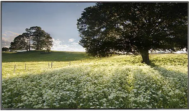 Refurbished: LG 75UH5C 75" Ultra HD Commercial Display - Newegg.com