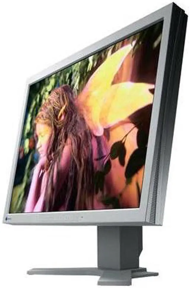 EIZO 21.3" TFT LCD UXGA LCD Monitor 30 ms DVI, USB L997 - Newegg.com