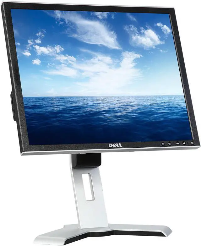 Käufer Flut unzureichend dell monitor 1908fpc Reim Schneemann Reproduzieren