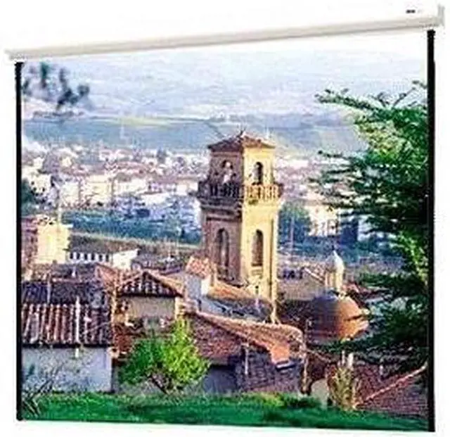 Da-Lite Designer Contour Manual with CSR Projection Screen - Newegg.com