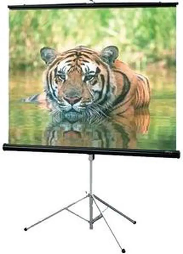 DRAPER 85" 85" Consul Tripod Portable Projector Screen AV Format 216003 ...