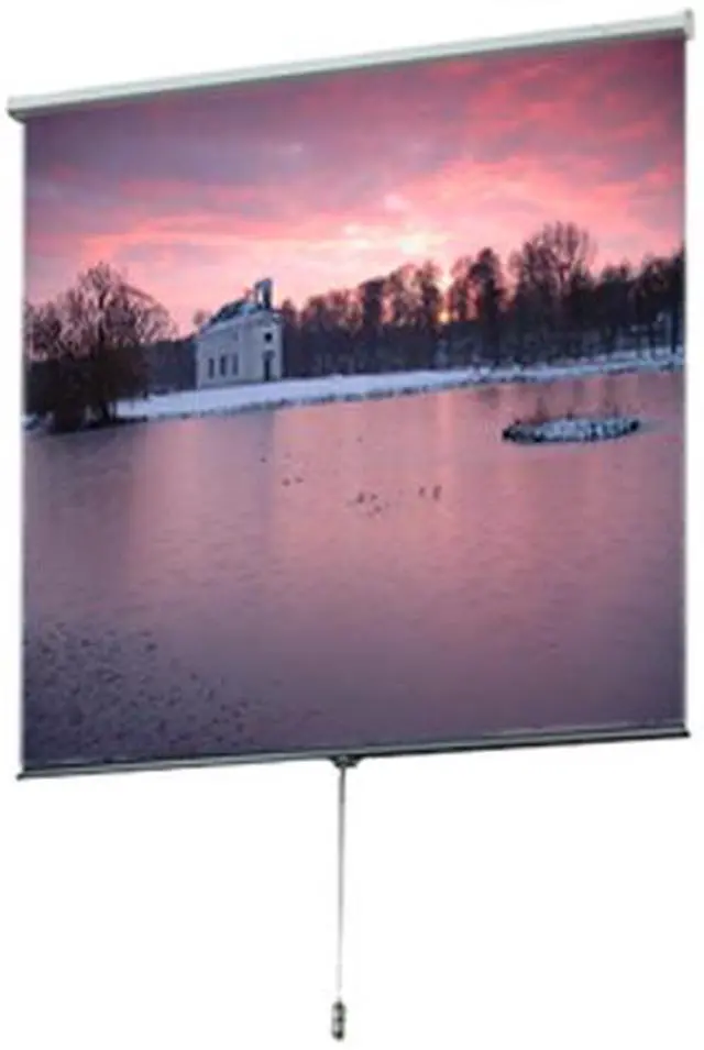 DRAPER 207205 100" Luma Manual Projection Screen - Newegg.com